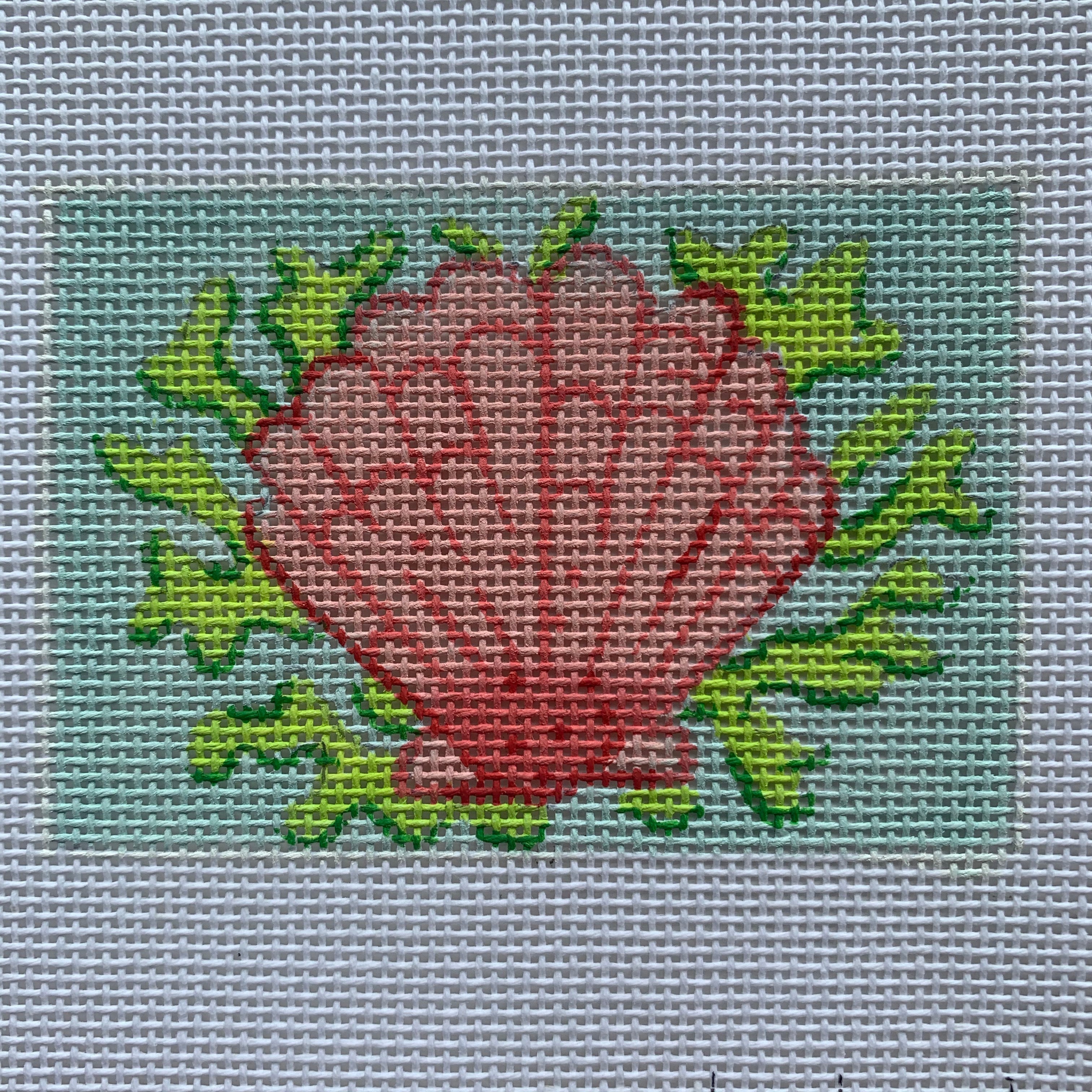 Scallop Seaweed Cc Insert – Seaside Needlepoint
